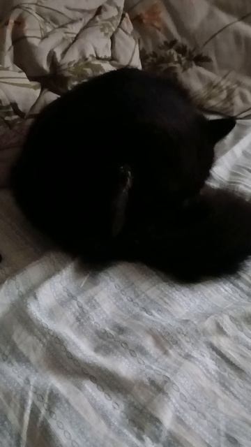 Спим, едим, гуляем, спим... и так по кругу 🙊