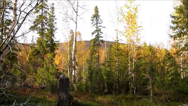 Архив. Повтор.  Фрагменты. 2019. Кольский полуостров. 16.01.24.