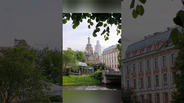 Питер!!!! мы будем скучать...
Надеюсь,что это взаимно....
#СПБ #культурная_столица #отпуск