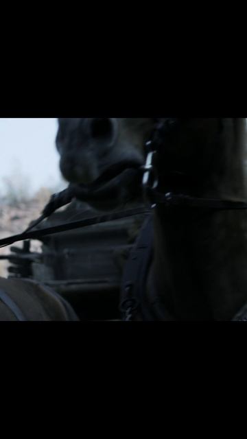 Hunter or prey? ⚔️ Yan Light & Medieval 2022