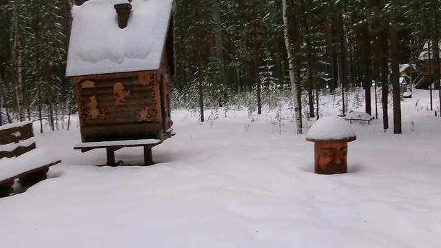 Наша прогулочка по сказочному лесу. Тропа Сказок и тропа Здоровья. Западная Сибирь. Югорск..