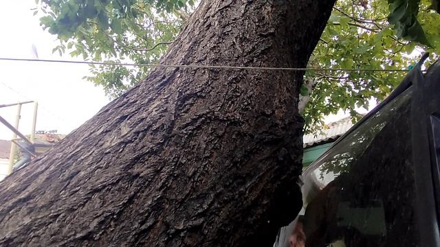 Как снять колесо в стеснённых условиях. Тахо 400