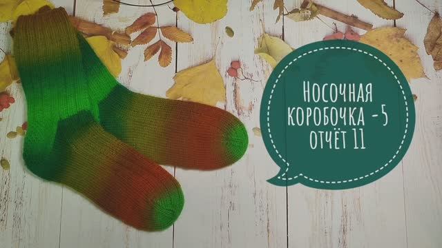 ✨Отчёт 11 в СП "Носочная коробочка -5" ✨Носочки из Fo rza Festival✨