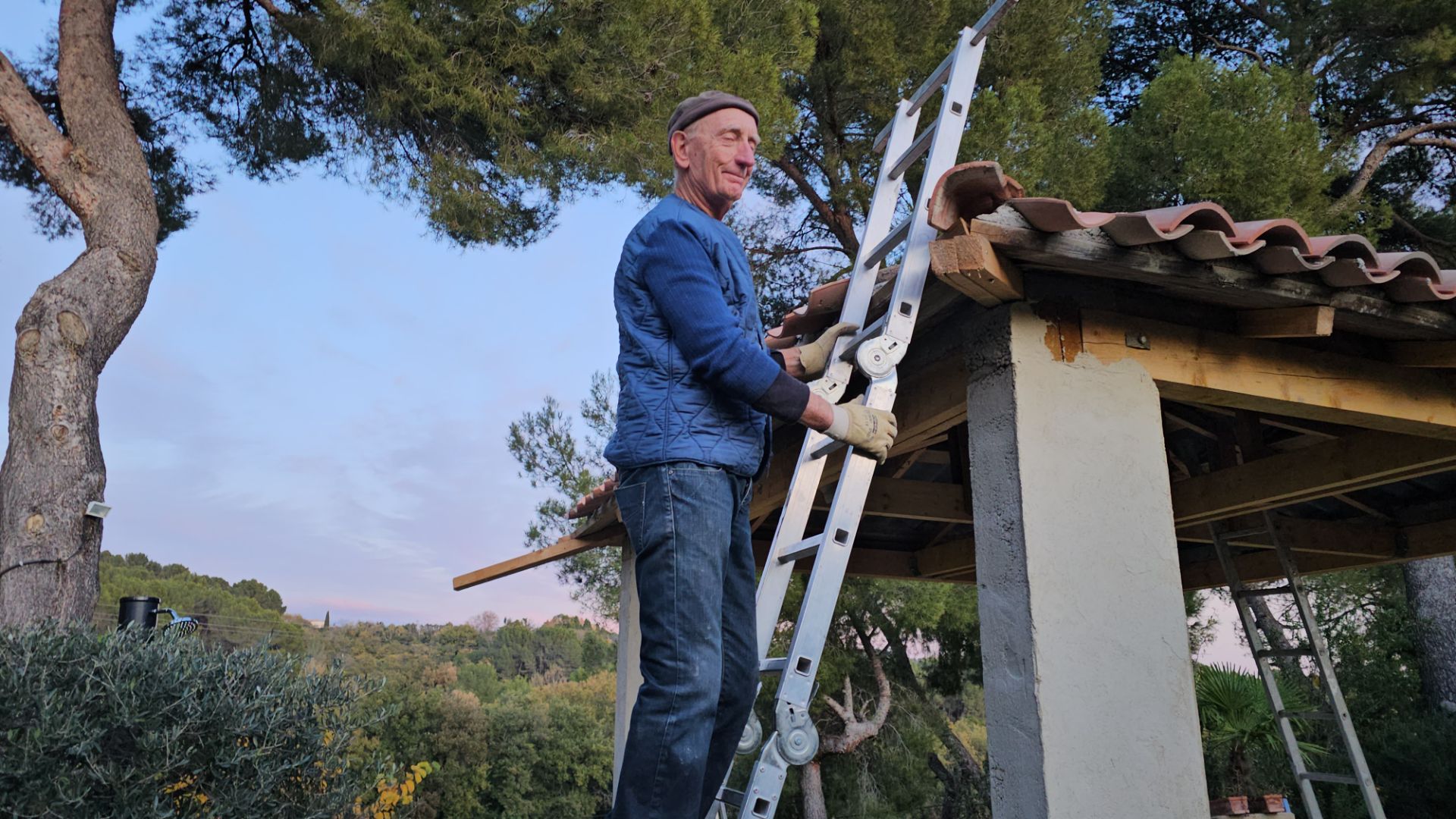 16-19 ноября 2025. Заморозки застали врасплох.Спасали пеларгонии. Еда на пару-это вкусно!