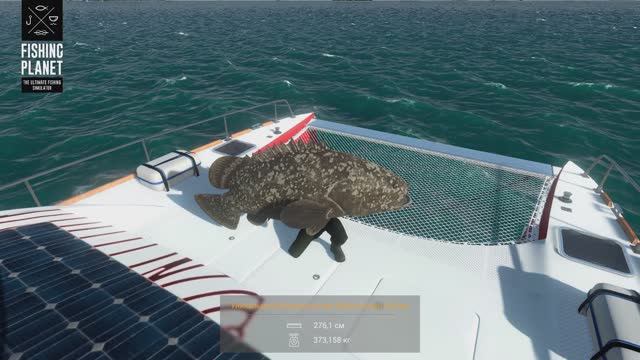 Fishing Planet. Мальдивы. Уникальный Индоокеанский Малоглазый Групер