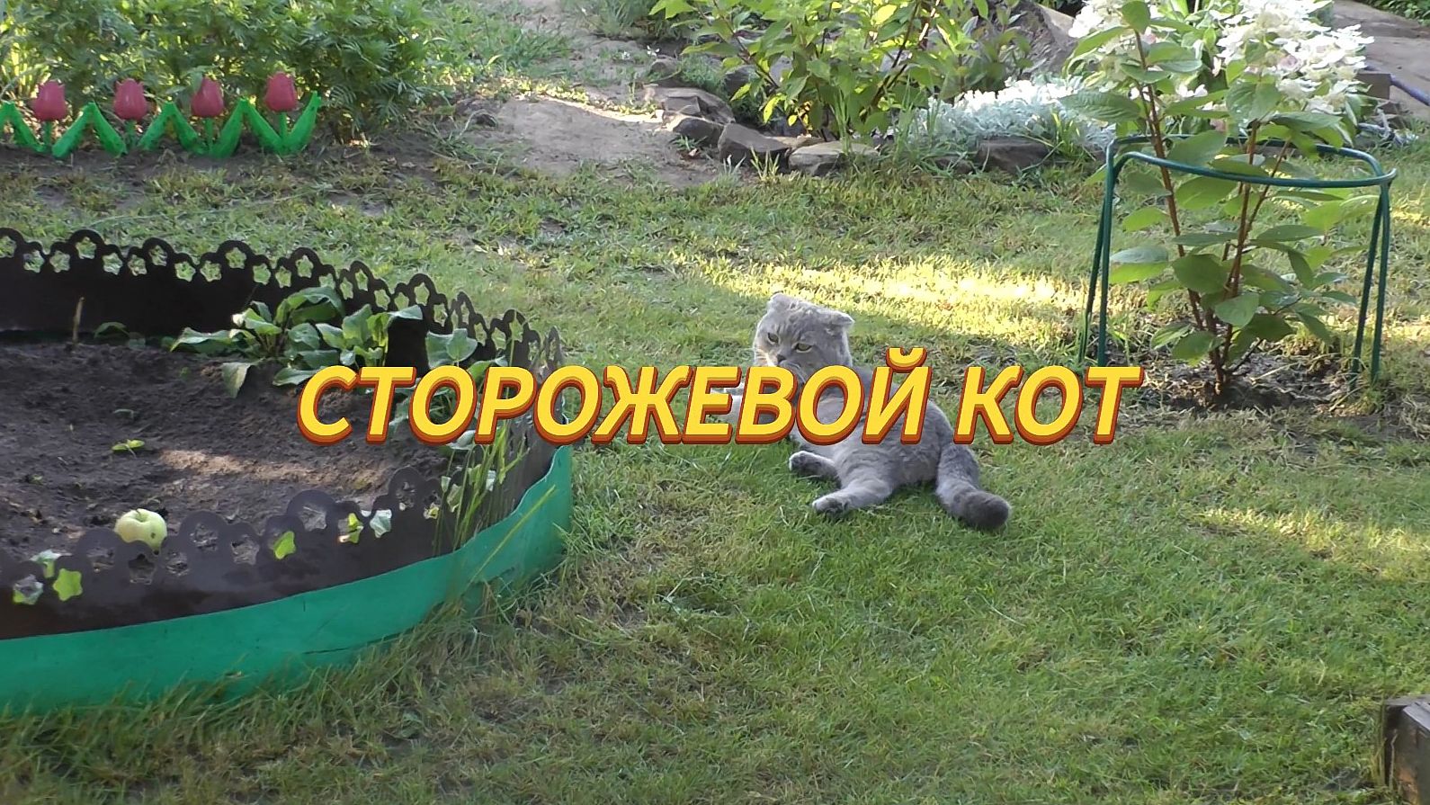 6. Котосериал Барсяткин. 3 сезон. ЛЕТО - ОСЕНЬ. 1 серия. Сторожевой кот