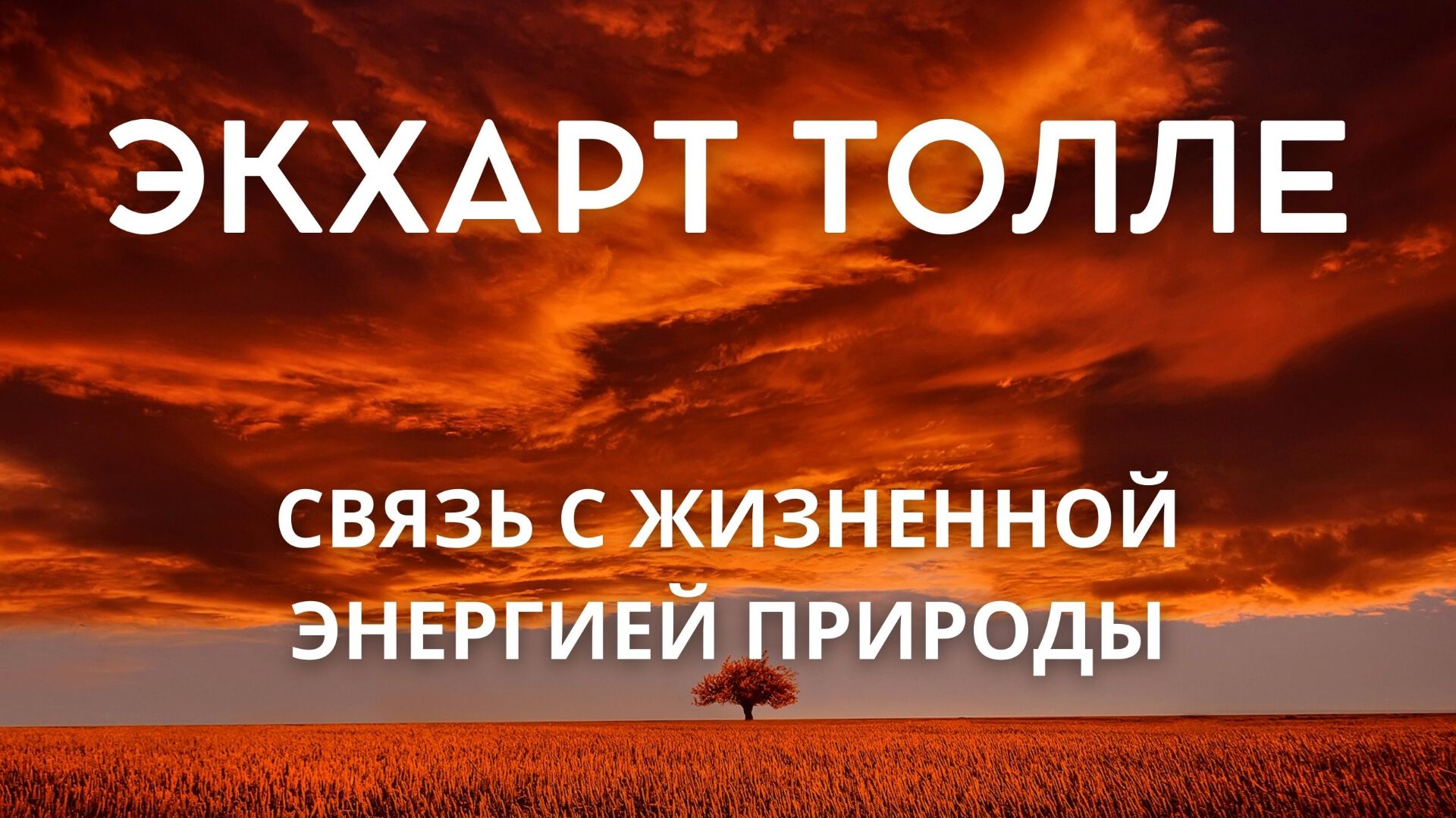 Как установить связь с жизненной энергией природы. Экхарт Толле