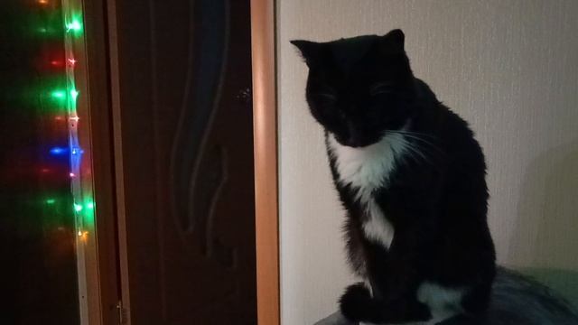 Рассказ - "Верность"