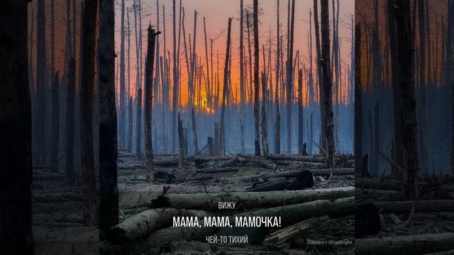 Мамочка Б.Корчевников