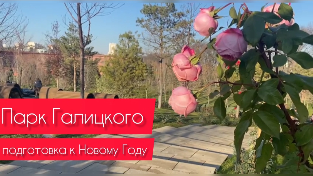 Парк Галицкого в декабре. Подготовка к Новому Году✅
