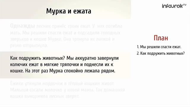 Текст  Русский язык 4 класс #2  Инфоурок