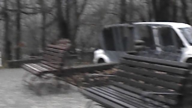 DSCN8476 Осенний Железноводск.Белочка хозяйка железноводского парка ноябрь 2025