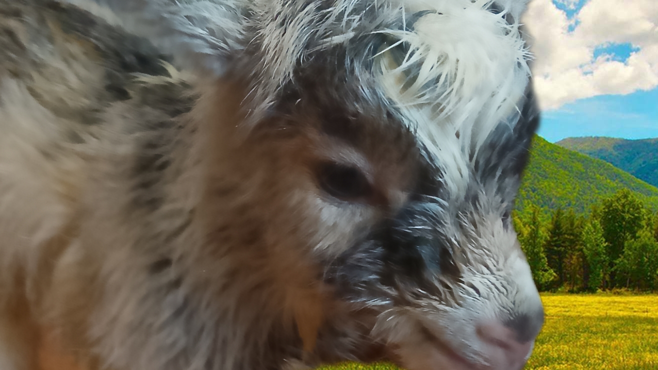 Какой прекрасный день! День рождения новой жизни!