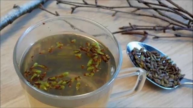 1. Роль березы в годы ВОВ. Будь природе другом.