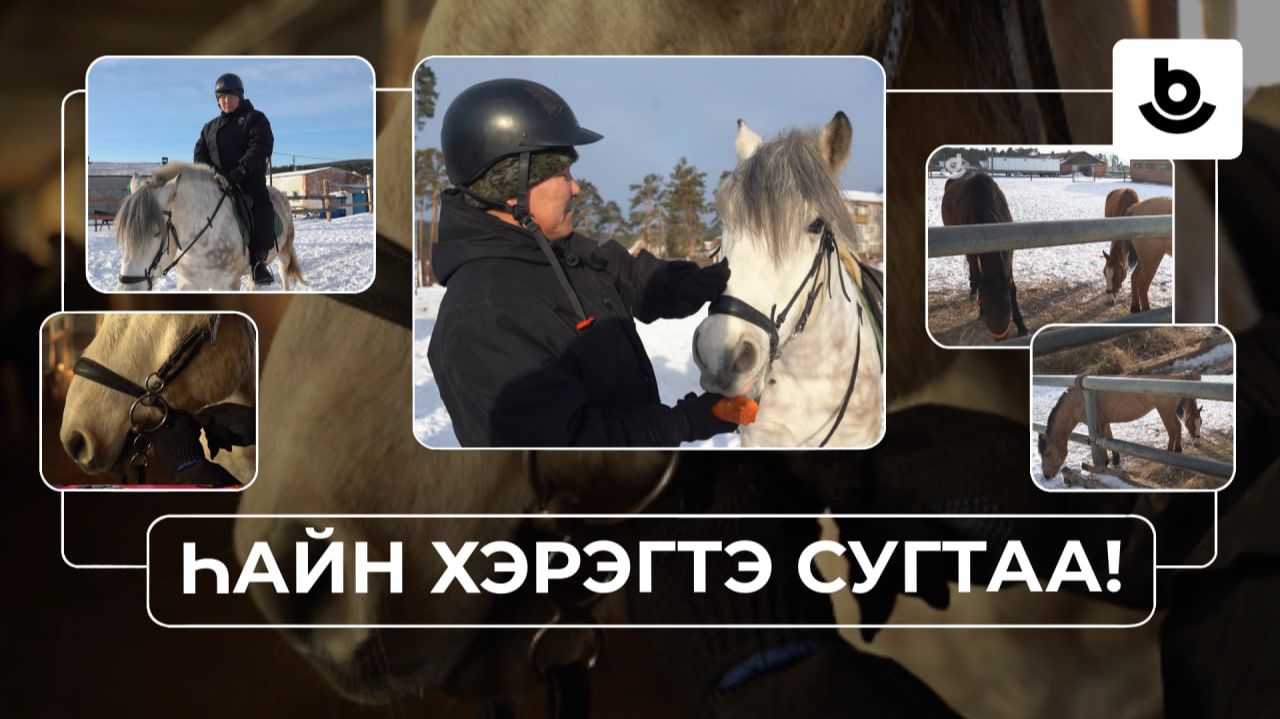Һайн хэрэгтэ сугтаа! Иппотерапия