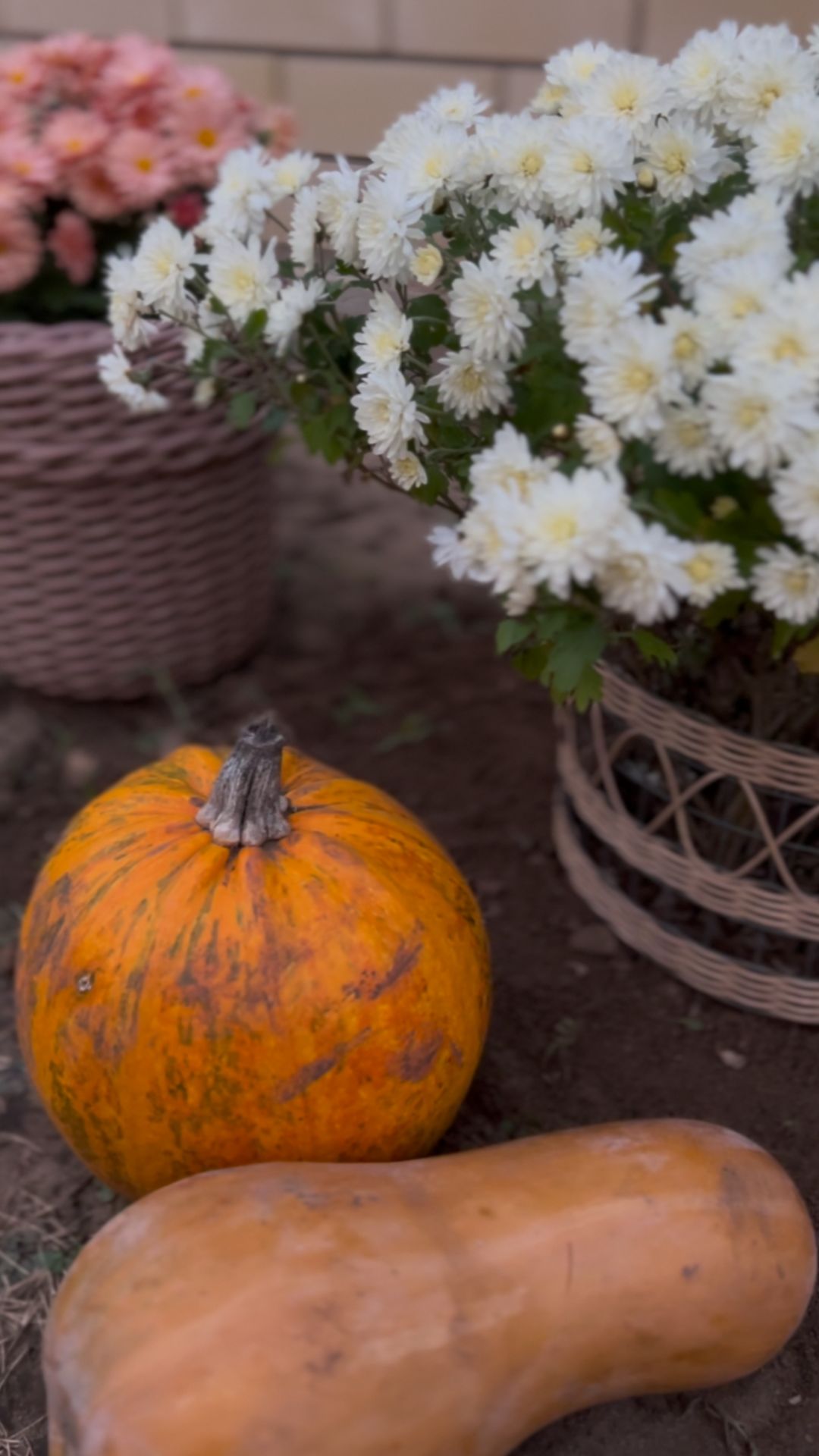 Клумба + газон