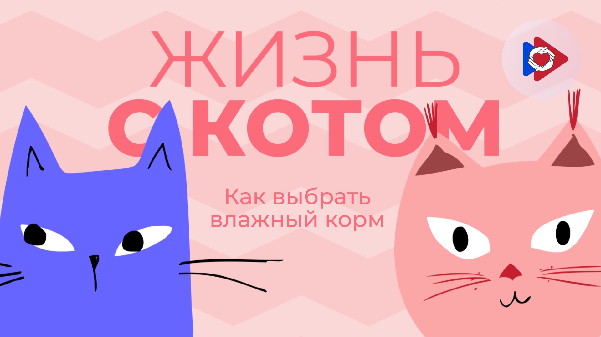 Жизнь с котом! Как выбрать влажный корм?
