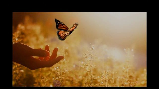 Каждый День-Дар!