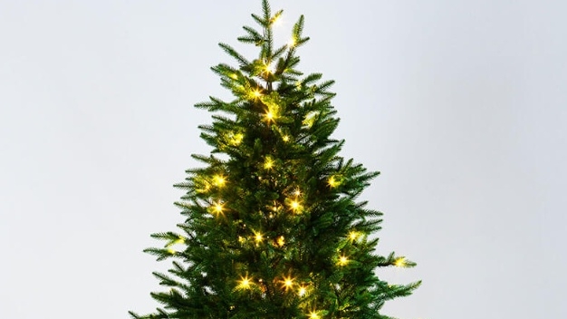 Новогодние чудо.