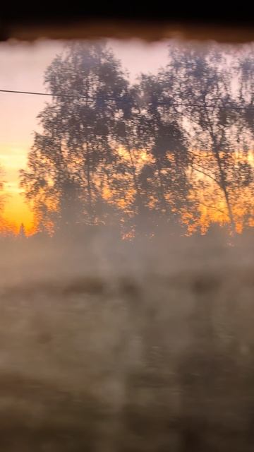 Как обходиться без алкоголя и антидепрессантов #shorts #shulz #gravel #мем #приколы #смех