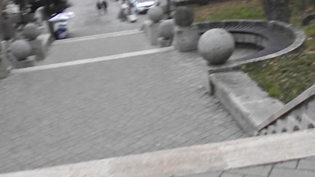 DSCN8487Осенний Железноводск.Белочка хозяйка железноводского парка ноябрь 2025