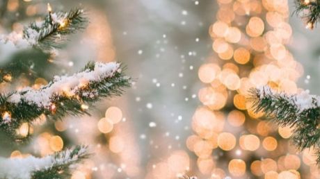 Доброе зимнее утро