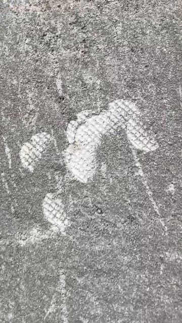 Руки целы хоть остались! Астимир и молоток. Технологи SCIP  в своей красе!