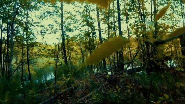 Пришельцы?... часть 4-по болотам с генералом (от первого лица)