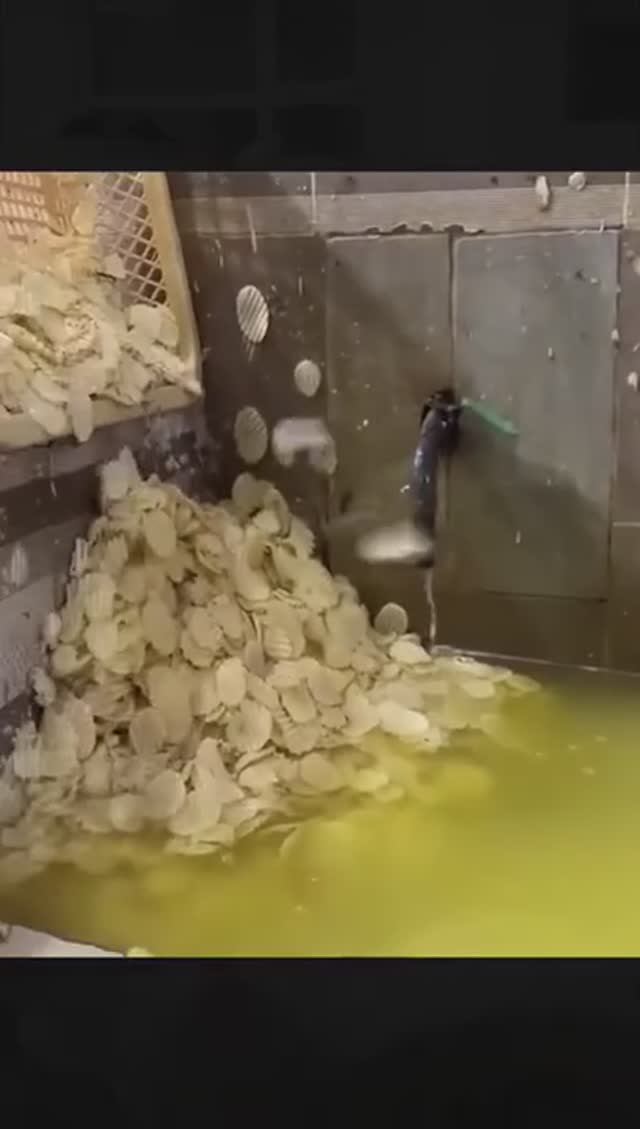 Изготовления чипсов в Индии по новой технологии