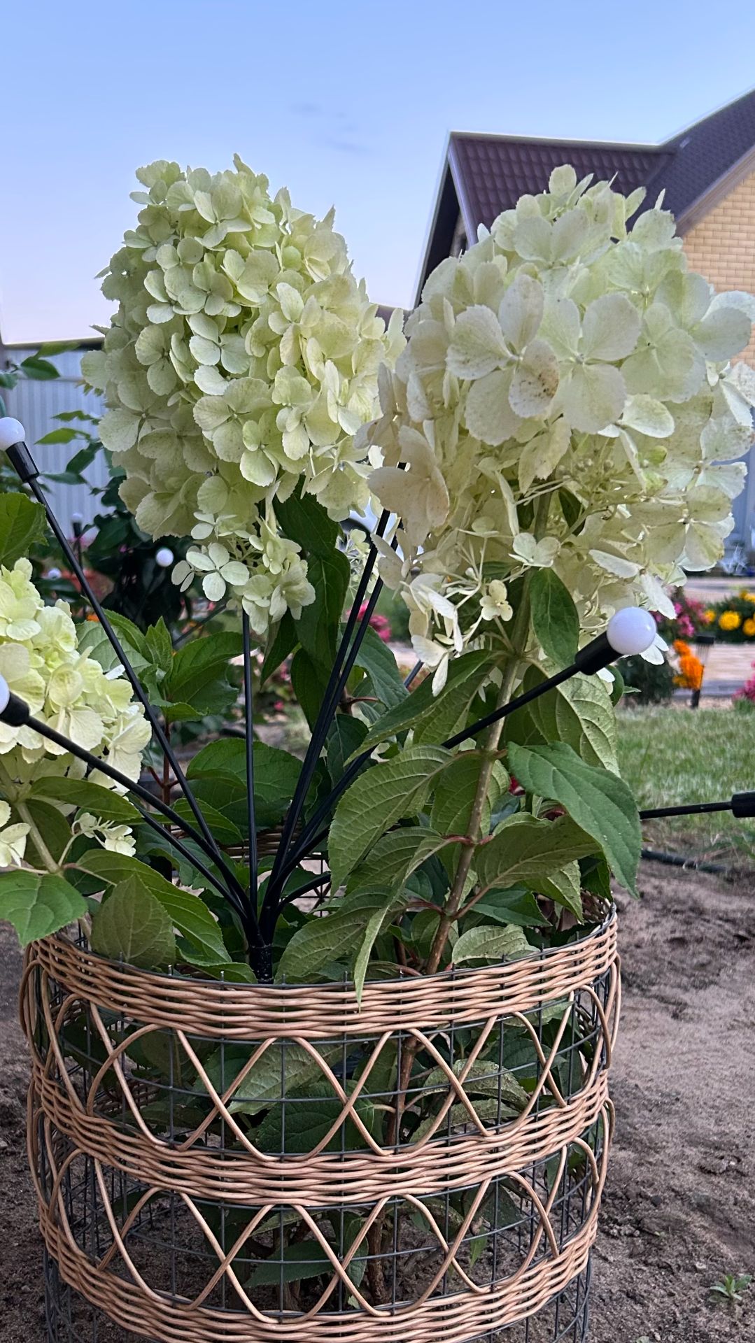 Можно годами мечтать о каком-то моменте и не заметить, когда он придет!