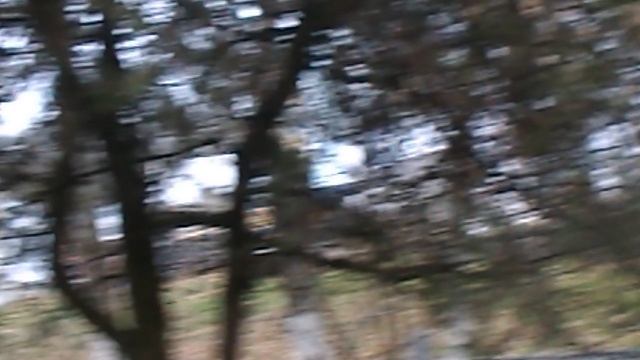 DSCN8486Осенний Железноводск.Белочка хозяйка железноводского парка ноябрь 2025