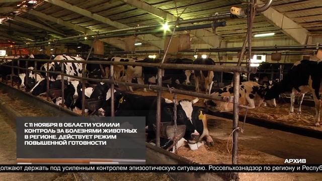 Новости ИРТ 28-11-2025