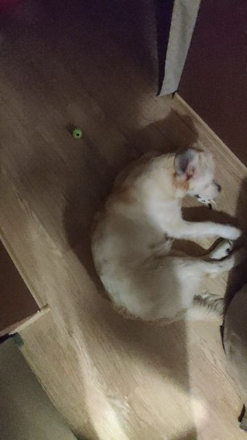 PXL_20251123_161112876