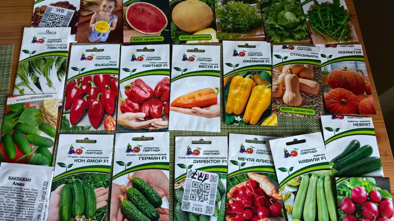 Обзор Семян на 2026