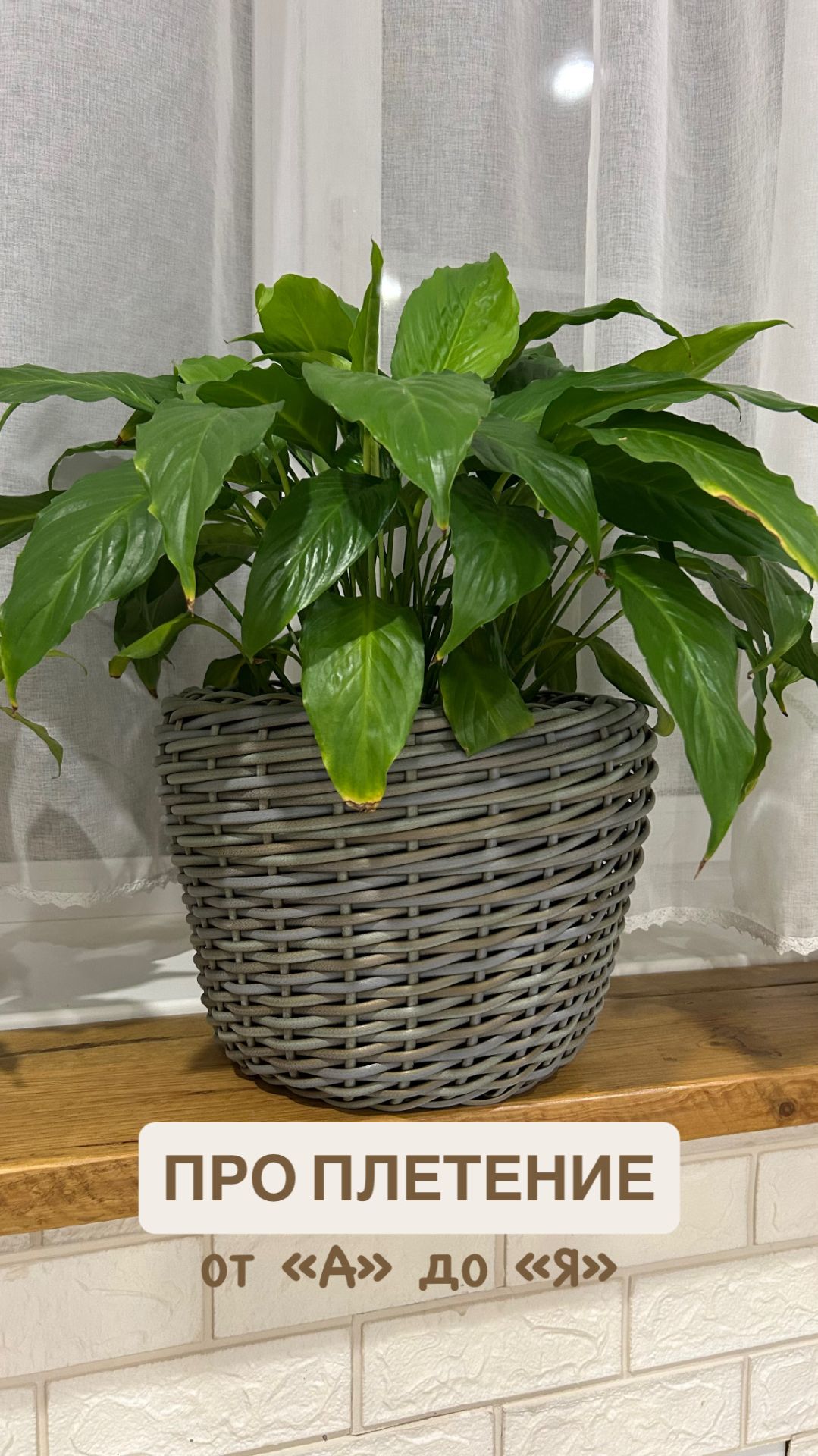 Плетёное кашпо своими руками