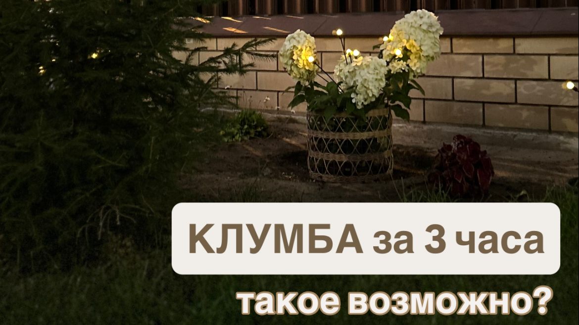 Когда появились эти клумбы у меня был выбор: