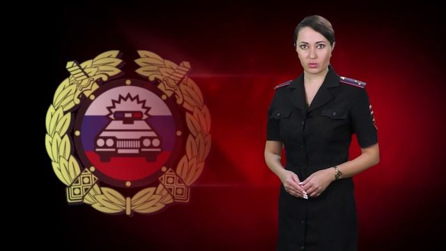 Дорога_28.11.2025