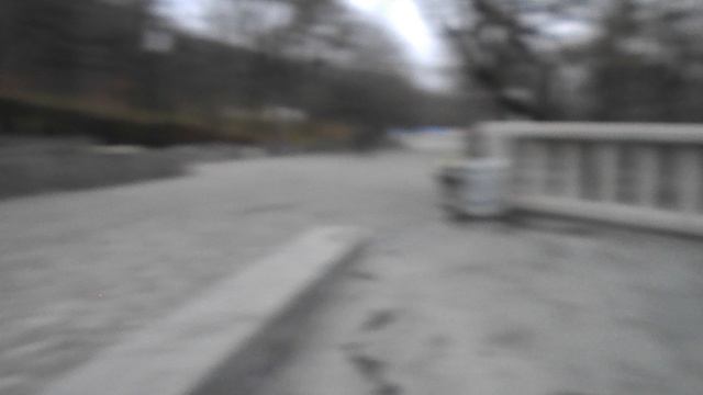 DSCN8481Осенний Железноводск.Белочка хозяйка железноводского парка ноябрь 2025