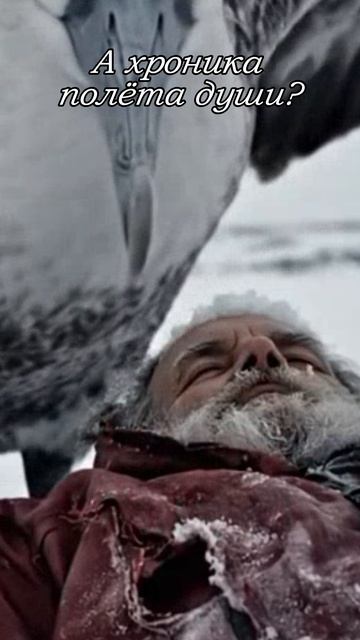 А если это не птица?