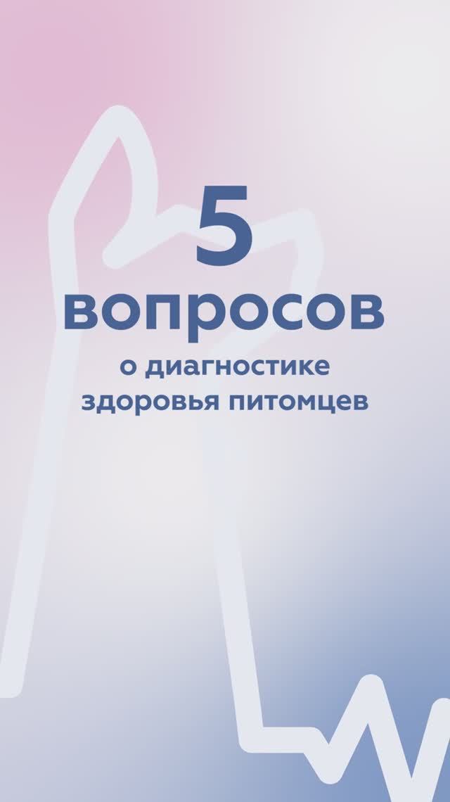 5 ВОПРОСОВ... о диагностике здоровья питомцев