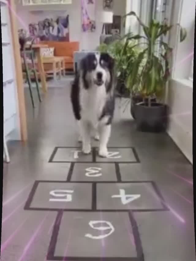 🐶 Компаньон