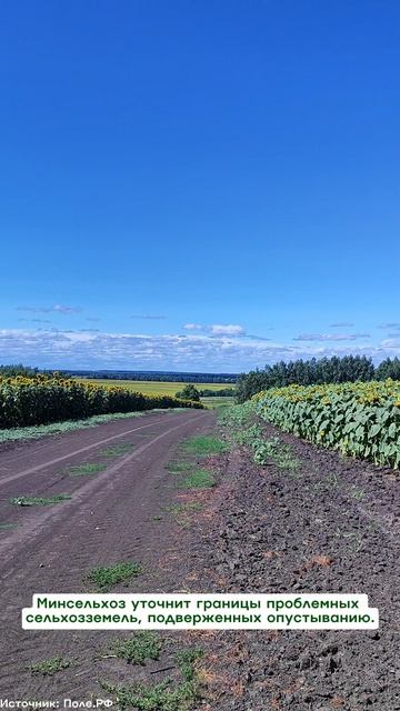 Агроновости 3-9 ноября 2025 года