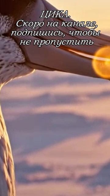 Эта песня выжигает душу.