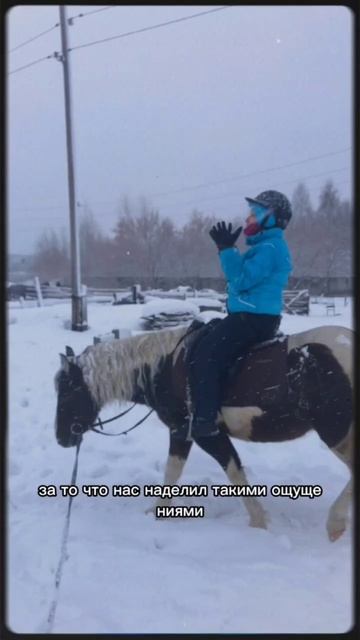 Тренировка верхом в Конном клубе Бартель, Новосибирск