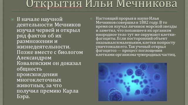 Антоненко Андрей Сергеевич, ГБОУ "Старомихайловская школа г.о. Донецк"