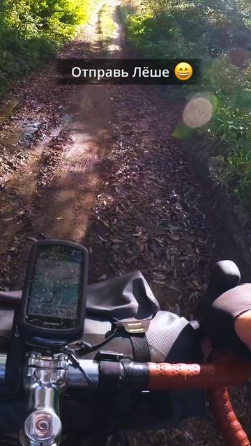 Отправь это Лёше / упал на велосипеде #shorts #shulz #gravel #мем #приколы #смех #велосипед