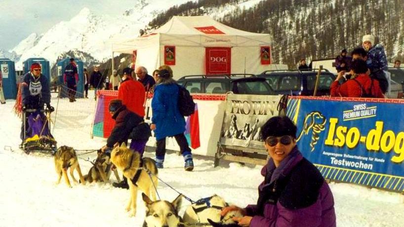 1997 год. Гонки в Европе. Часть третья. Чемпионат Мира по ездовому спорту.