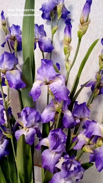 Букет Ирисов из холодного фарфора