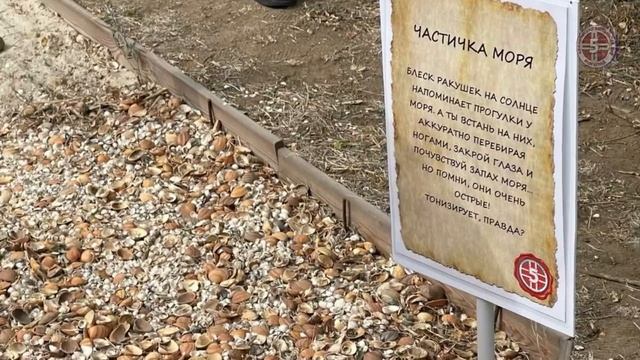 Пятый  элемент