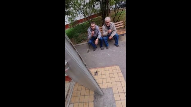 Подъездное дежавю г.Чебоксары || 21 регион, паслен, паслен гибридный, солнечная столица чувашии